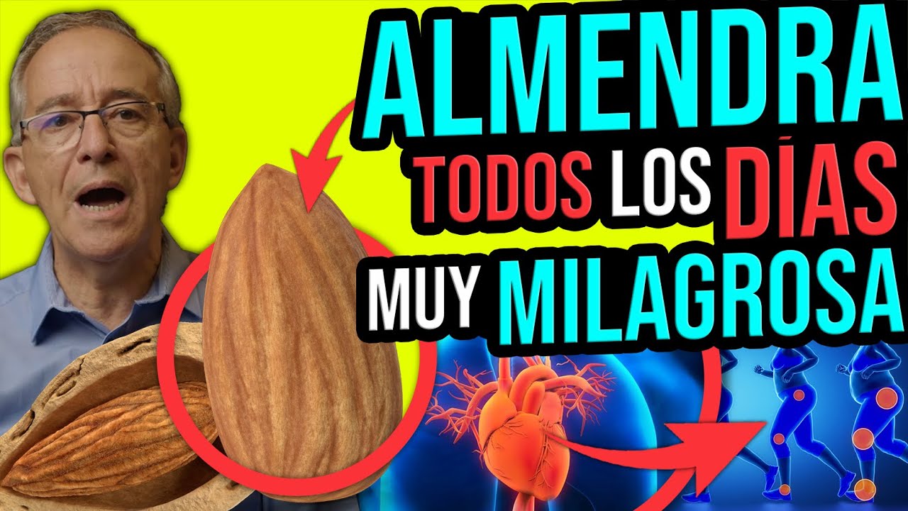 Aprovecha los beneficios de la almendra amarga - Bienestar Cósmico