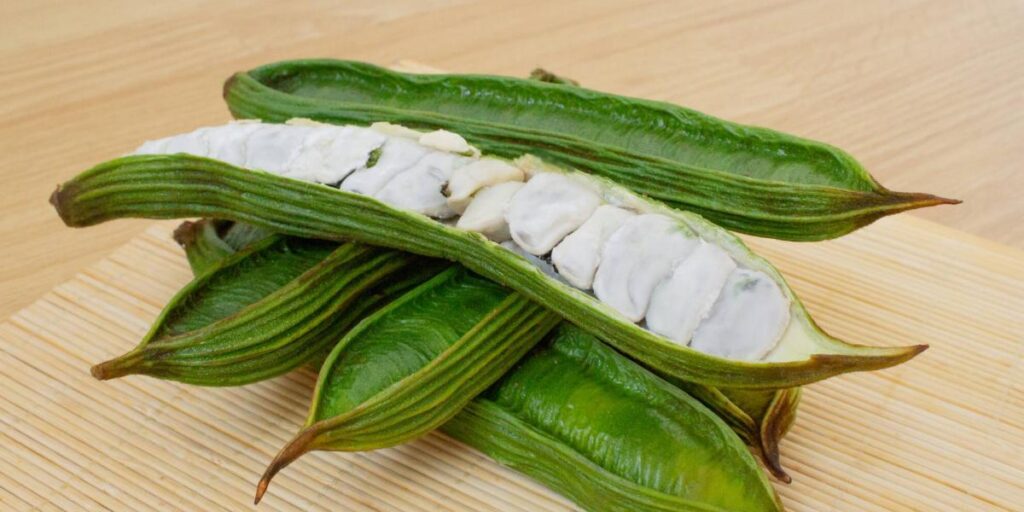 Aprovecha los beneficios de la guama - Bienestar Cósmico