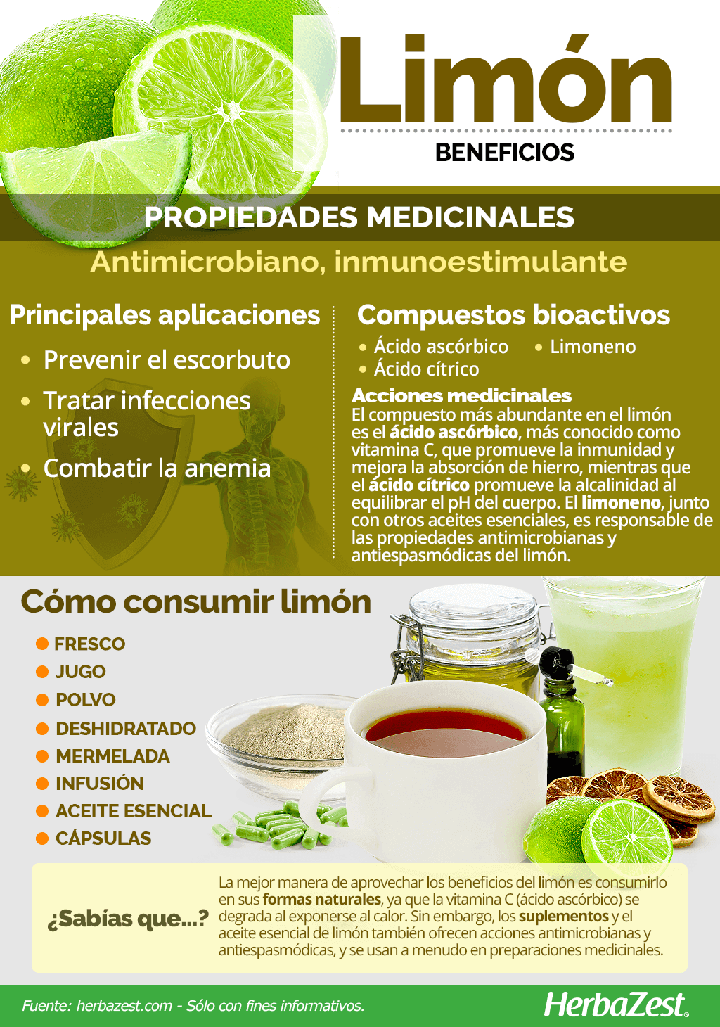 Aprovecha los beneficios de la infusión de limón – Bienestar Cósmico
