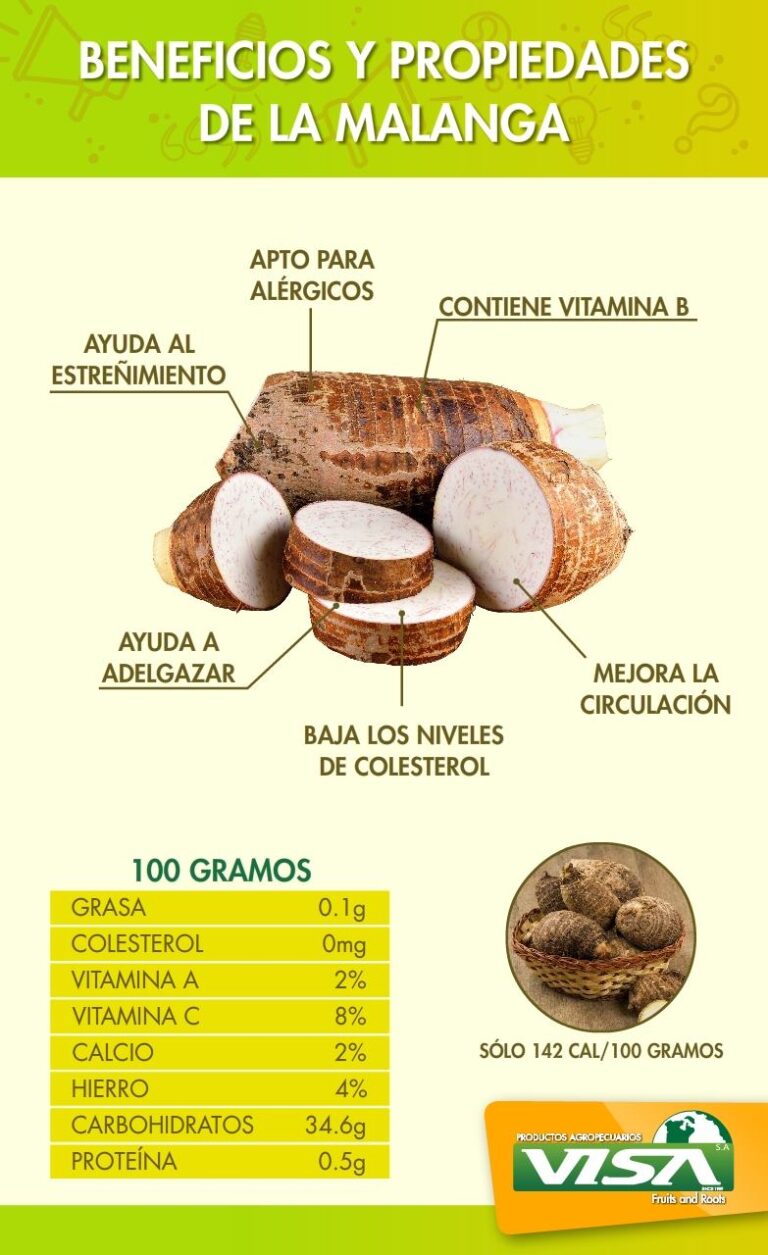 Aprovecha los beneficios de la malanga – Bienestar Cósmico