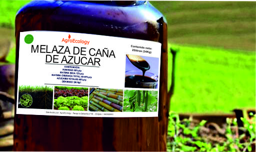 Aprovecha los Beneficios de la Melaza – Bienestar Cósmico