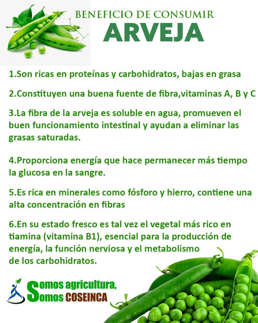 Aprovecha los beneficios de las arvejas en tu dieta – Bienestar Cósmico