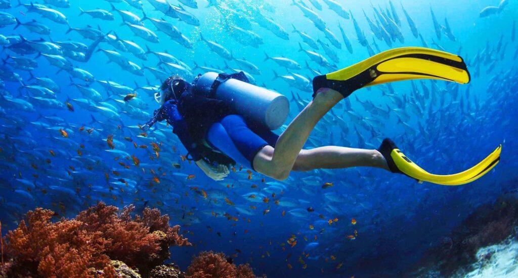Aprovecha los beneficios del buceo - Bienestar Cósmico