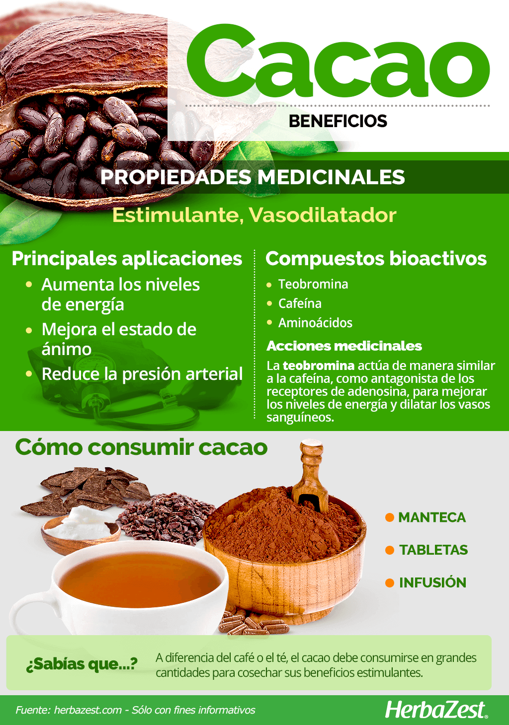 Aprovecha los beneficios del cacao - Bienestar Cósmico
