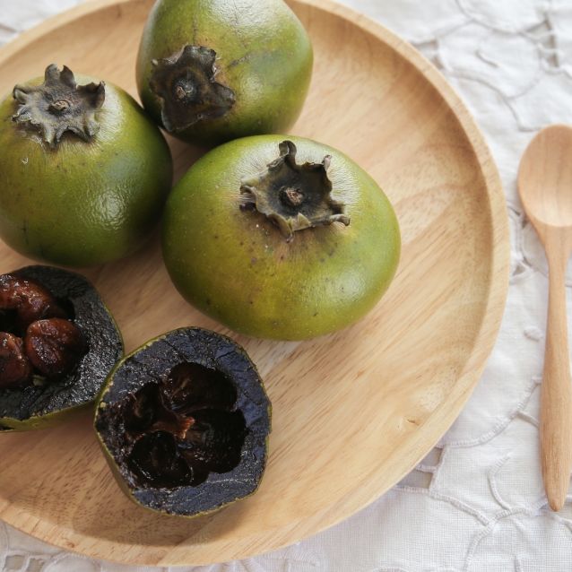 Aprovecha los beneficios del zapote – Bienestar Cósmico