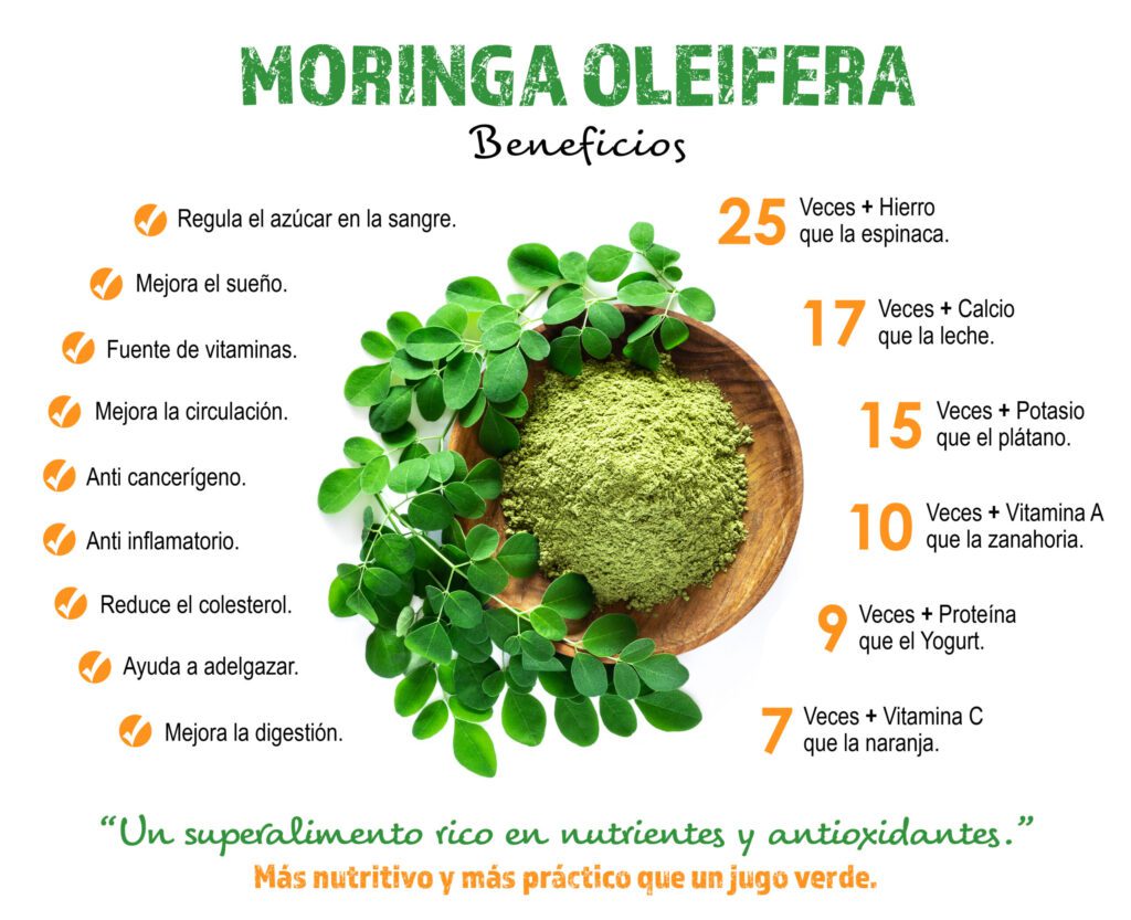 Los increíbles beneficios de la moringa oleifera - Bienestar Cósmico