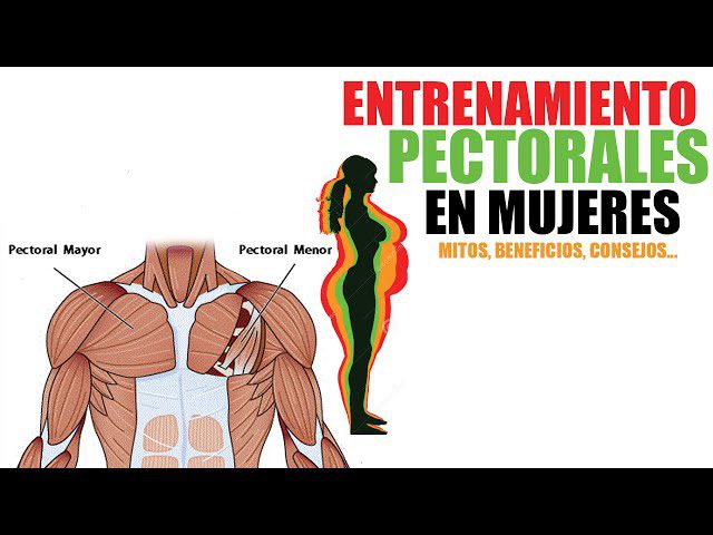 Beneficios de fortalecer el pecho femenino - Bienestar Cósmico