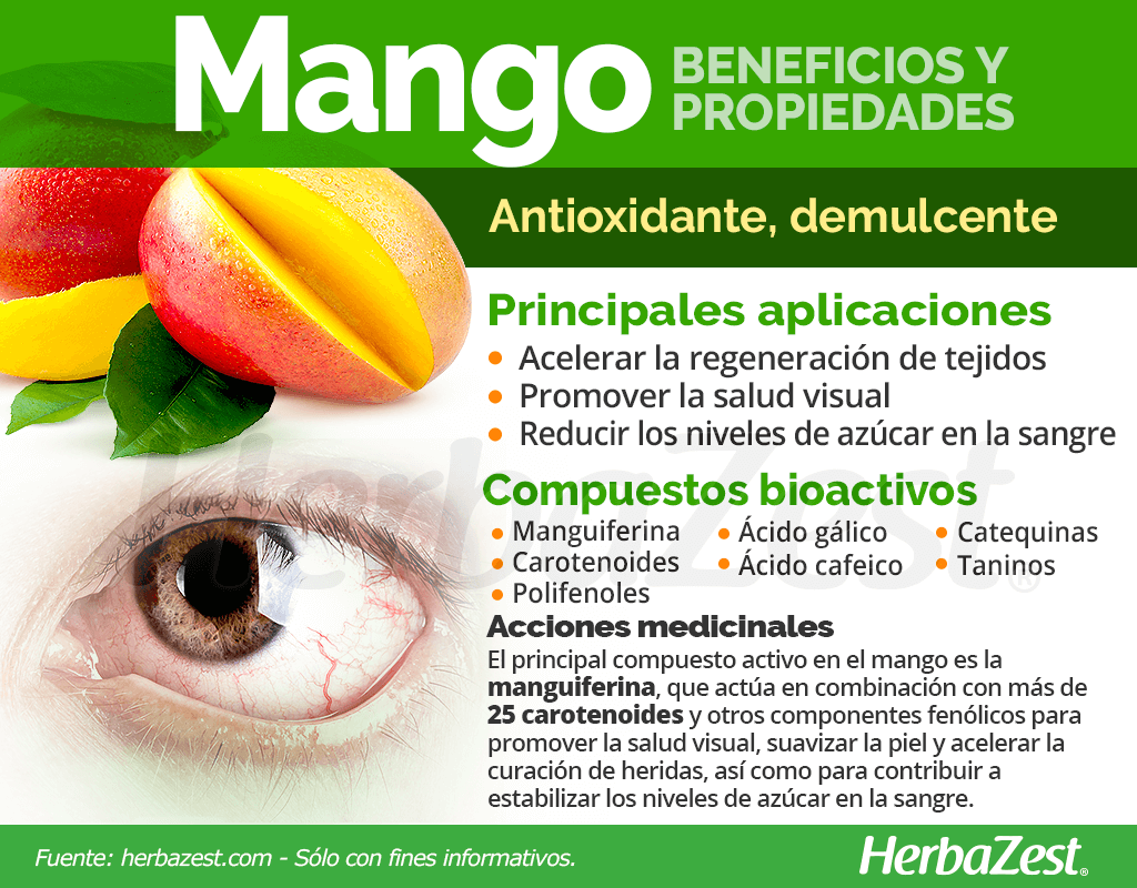 Beneficios de la hoja de mango: una fuente natural de bienestar ...