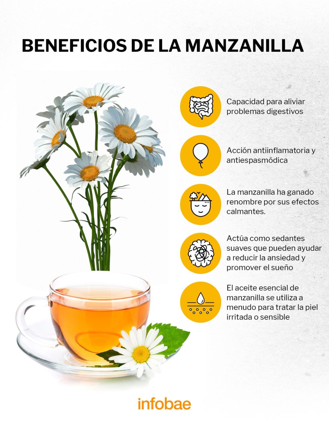Beneficios de la manzanilla: un regalo natural para tu salud ...
