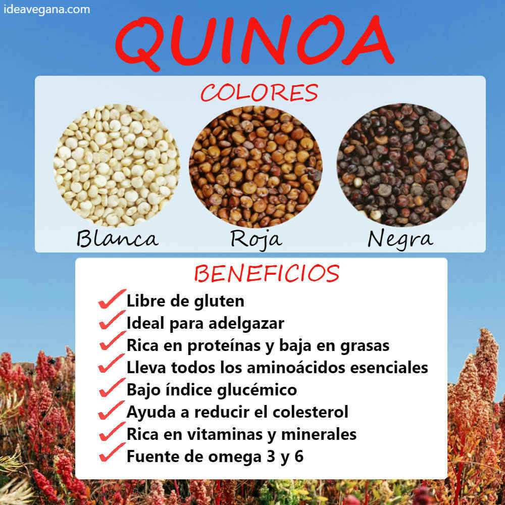 Beneficios de la quinoa: un superalimento para tu salud - Bienestar Cósmico