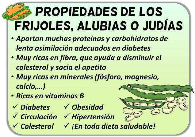 Beneficios de las alubias blancas - Bienestar Cósmico