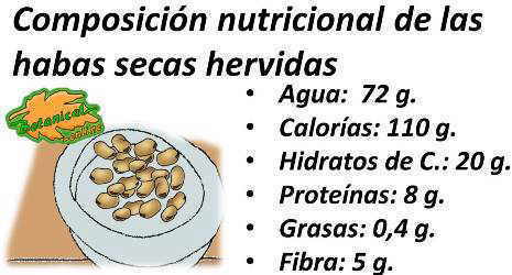 Beneficios de las habas tostadas – Bienestar Cósmico