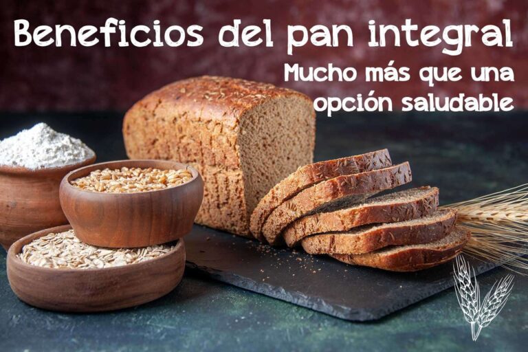 Beneficios del pan integral: una opción saludable y deliciosa ...