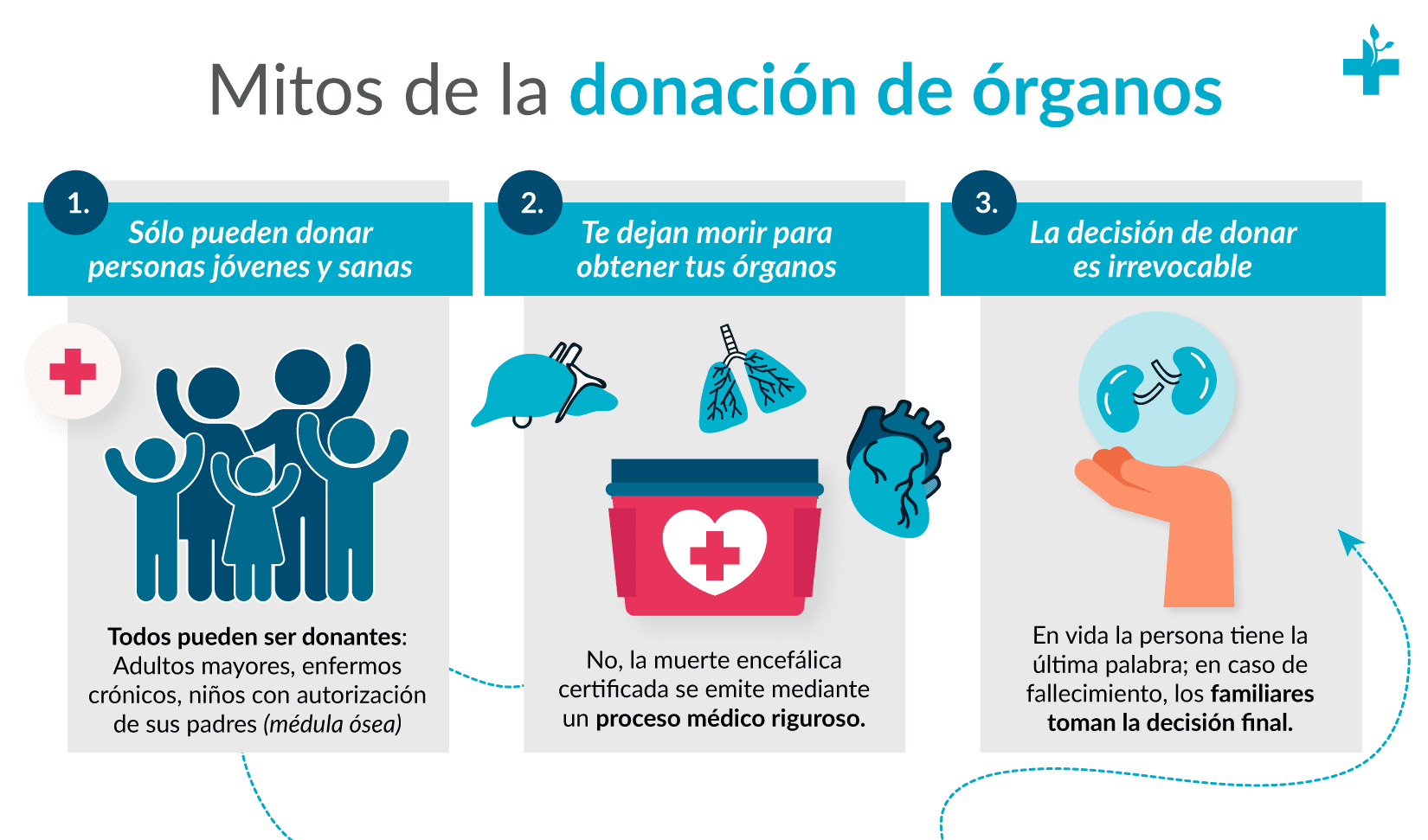 Donar vida: Los beneficios de donar órganos – Bienestar Cósmico