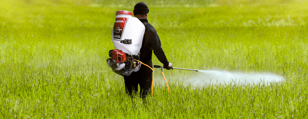 Mejora tu vida con los beneficios de fumigar - Bienestar Cósmico