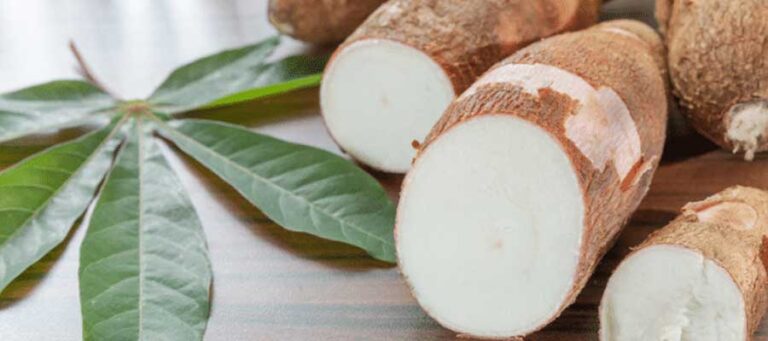 Potencia tus comidas con los beneficios de la hoja de yuca - Bienestar ...
