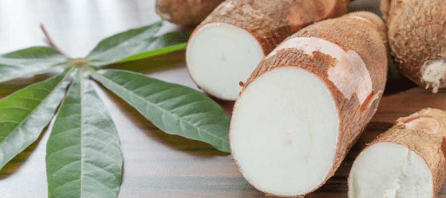 Potencia tus comidas con los beneficios de la hoja de yuca – Bienestar ...