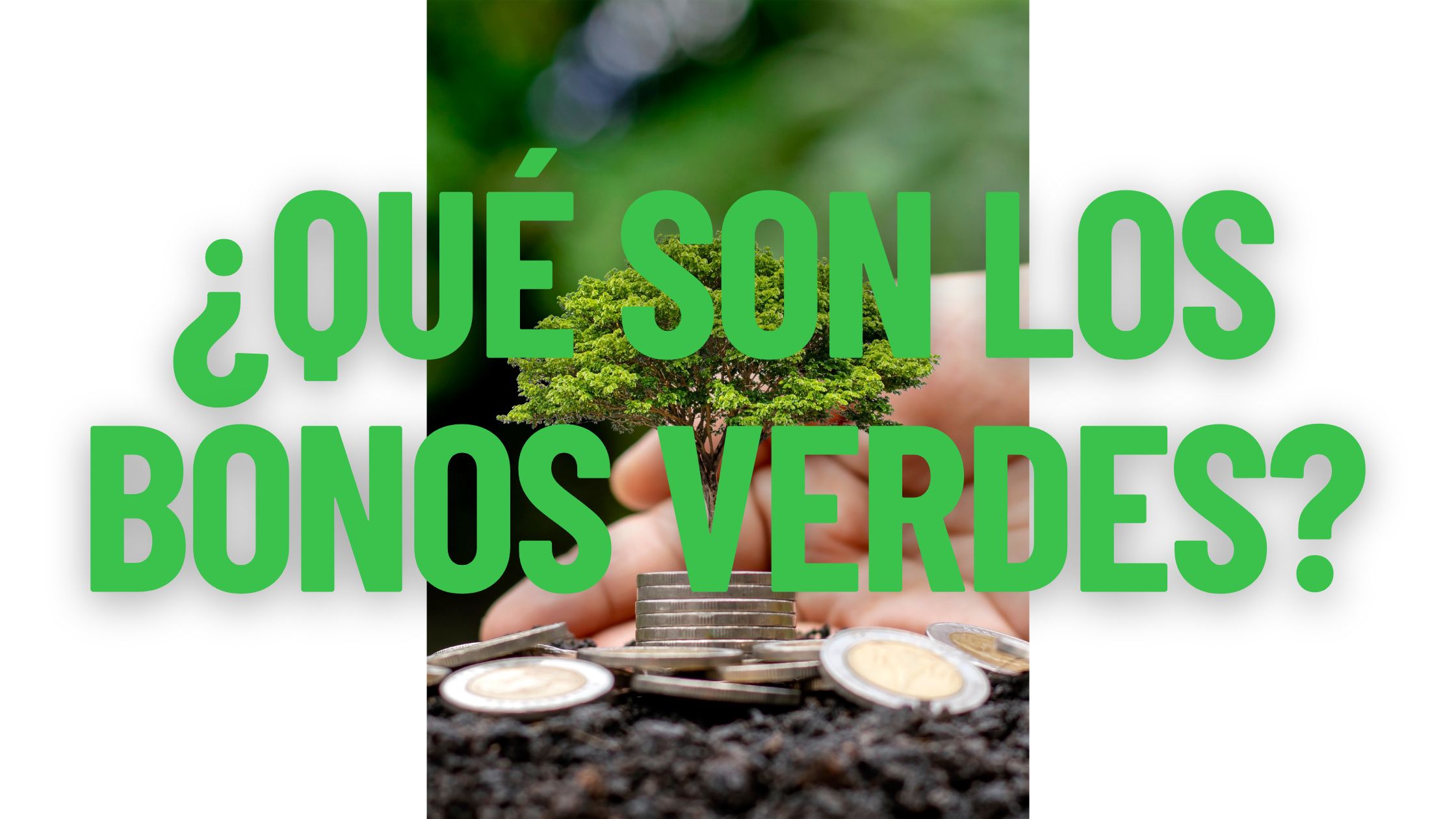 Potenciando tu bienestar: los beneficios de los bonos verdes ...