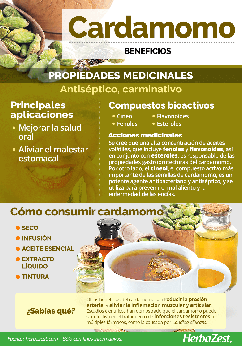 Saborea los múltiples beneficios del cardamomo - Bienestar Cósmico