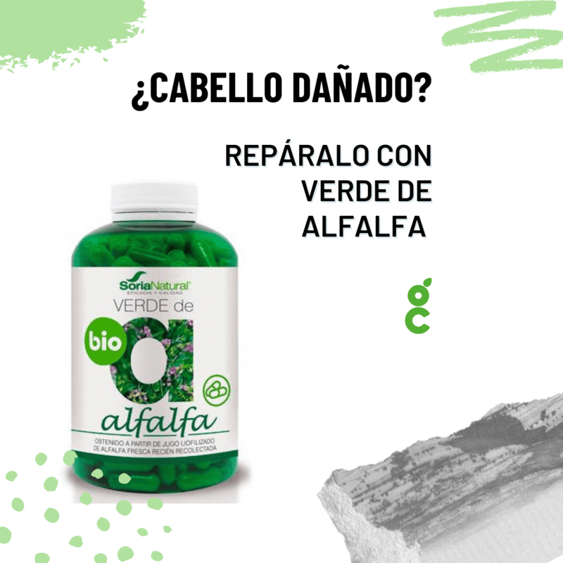 Secretos de la alfalfa para un cabello saludable – Bienestar Cósmico